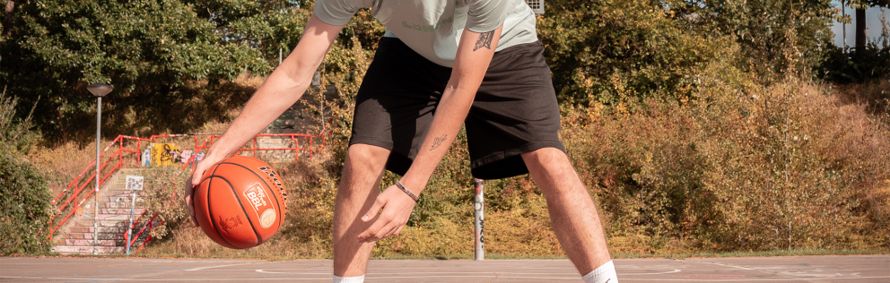 Basketball Löwen Braunschweig Startseite