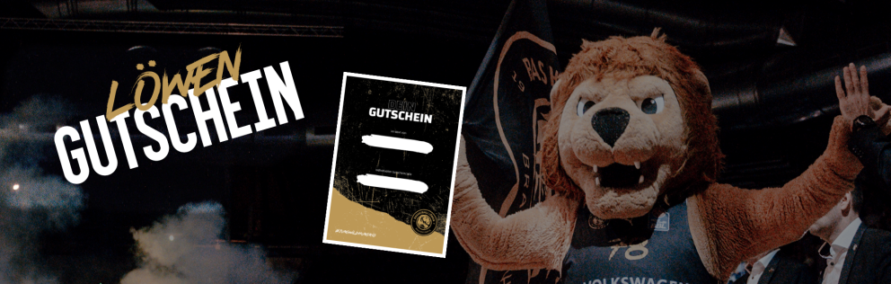 Basketball Löwen Braunschweig Startseite