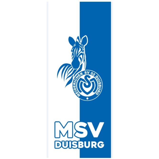 Hissfahne Blockstreifen 300 x 120 | offizieller MSV ZebraShop