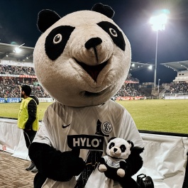 SV 07 Elversberg Plüschpanda Paul